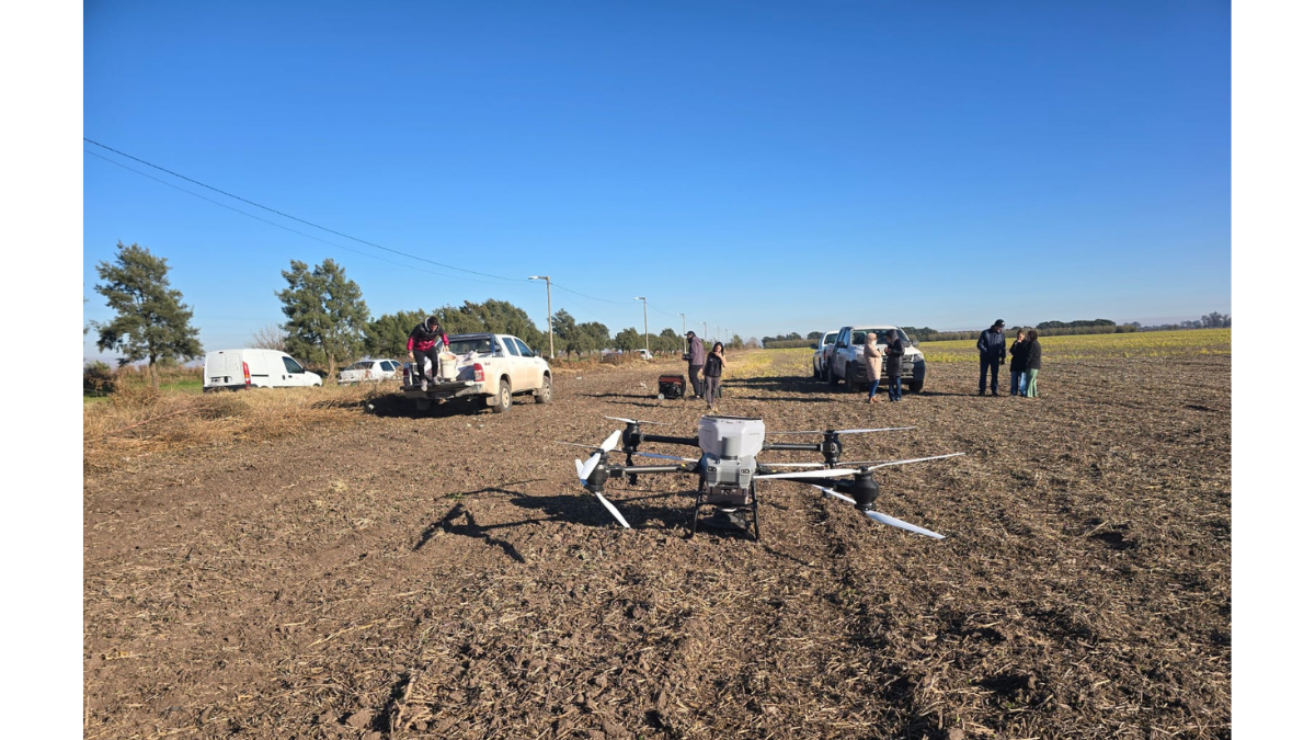 El INTA impulsa la siembra con drones en el periurbano de Marcos Juárez ...